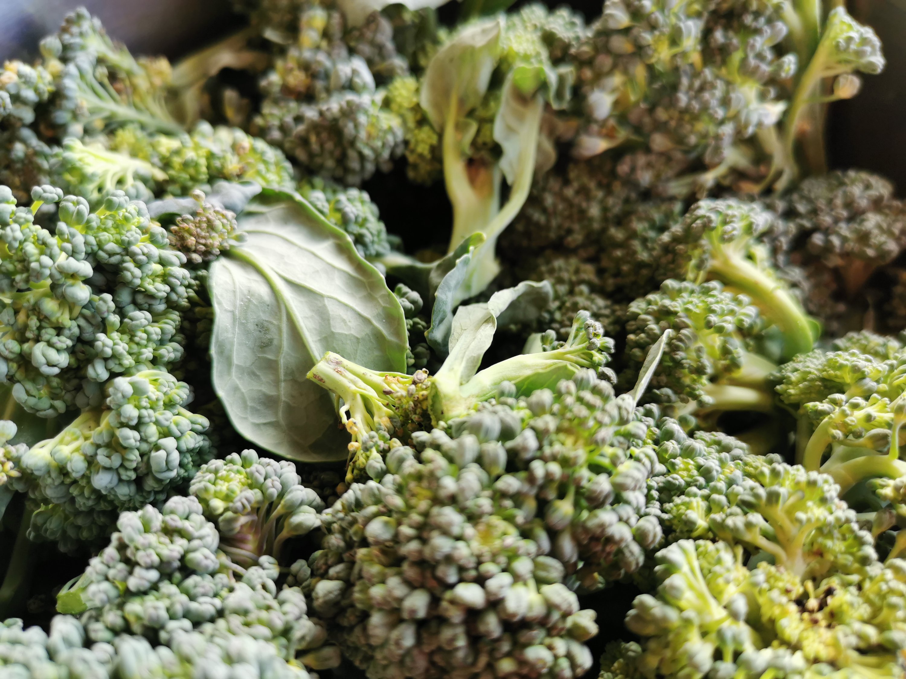 Gratinirana zelenjava – Samo Mama Emanuela